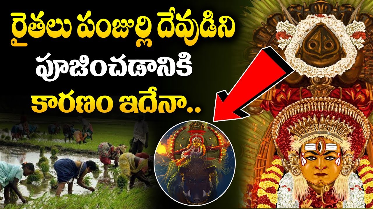 పంజుర్లి దేవుడు గురించి తెలియని రహస్యాలు : Panjurli God Real Story in ...