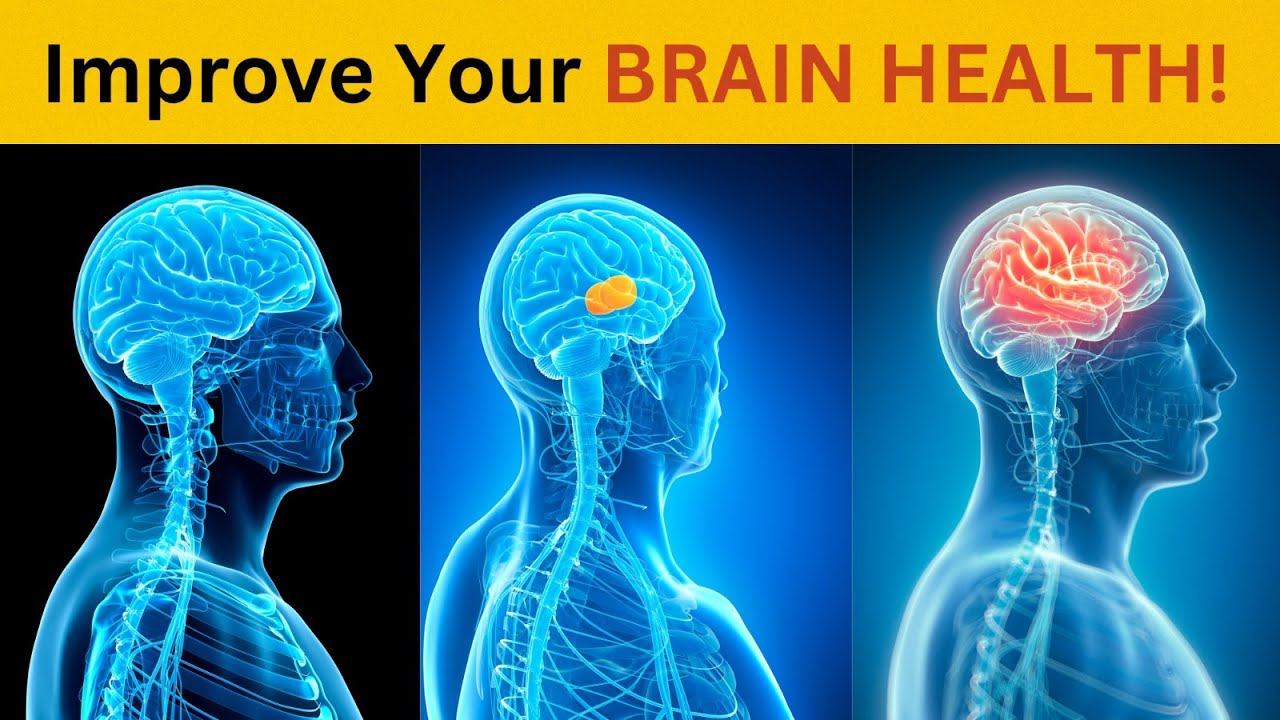 How To Keep Your Brain Healthy, Sharp And Active As You Age | Sharp ...