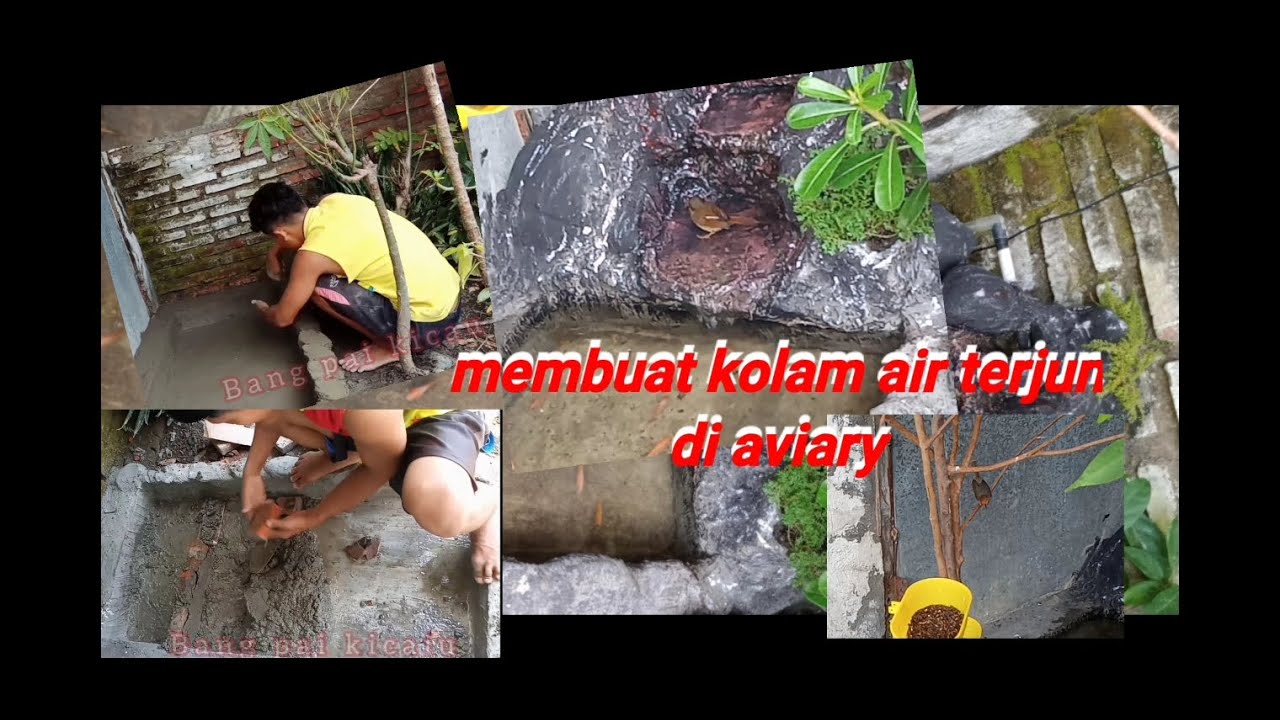 Aviary kolam ikan _kandang aviary (part 4) membuat kolam air terjun ...