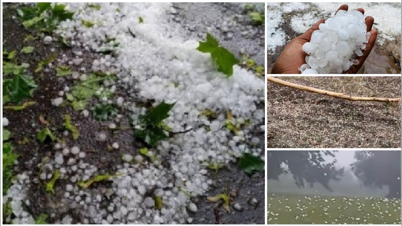 Heavy Hail Strom with heavy rain 🌧️ fall in sankoo | Ladakh | 10 August ...