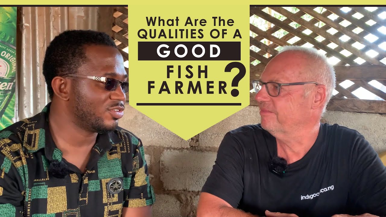 What Are The Qualities Of A Good Fish Farmer? Are You Amongst The World ...