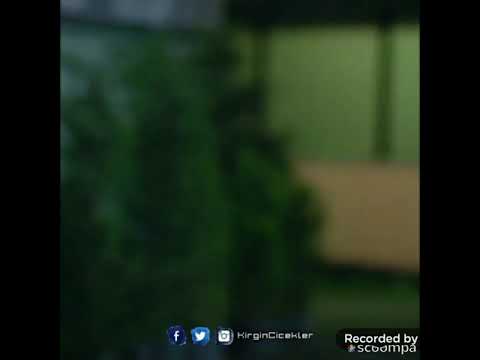 MERAL ✓MAŞALLAH✓