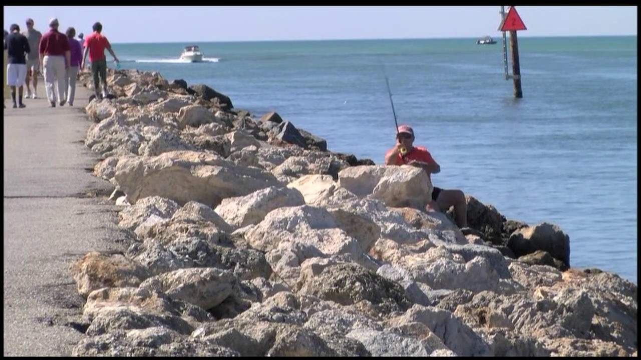 Venice Rat Problem - YouTube