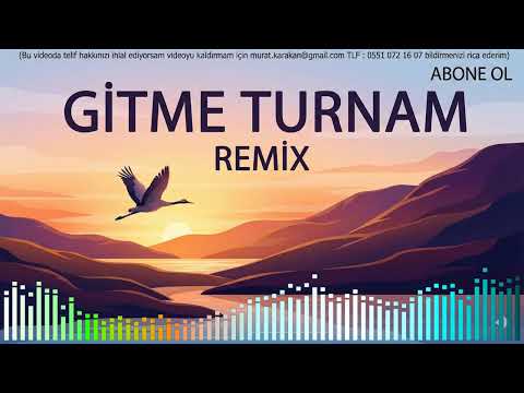 Gitme Turnam (REMİX)