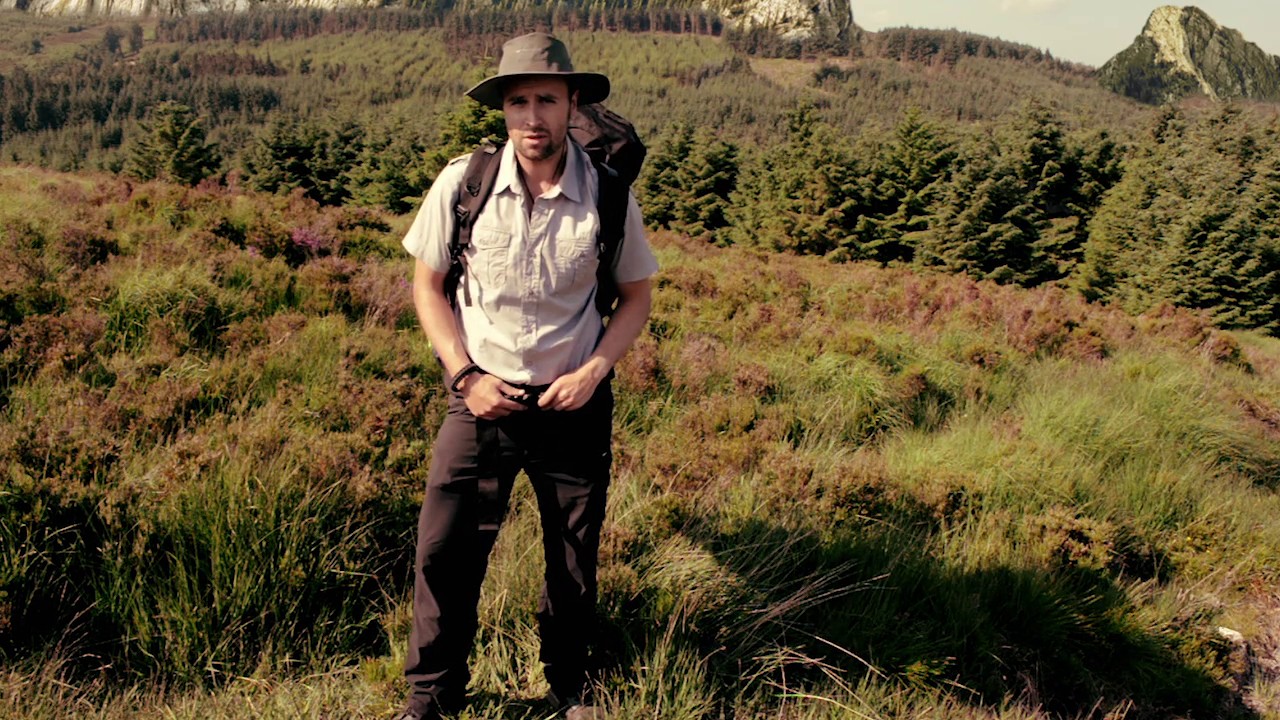 Territorial Behavior trailer - YouTube