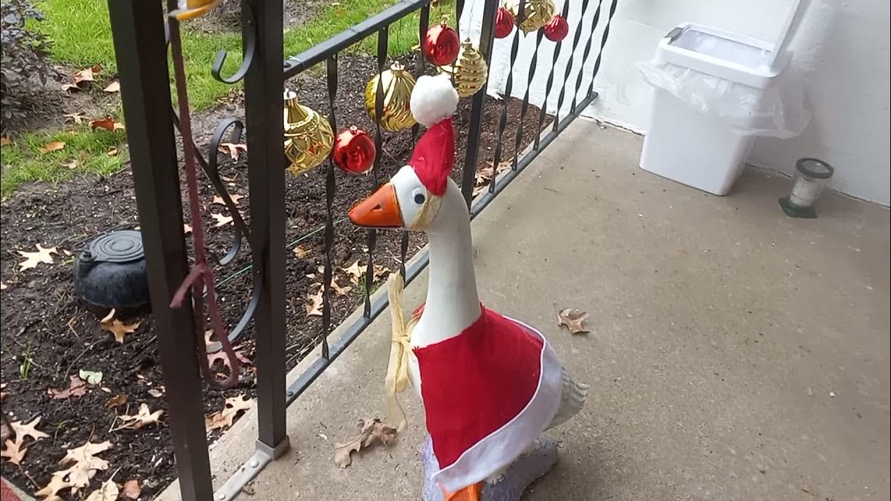 How to make Christmas outfit for your goose - YouTube
