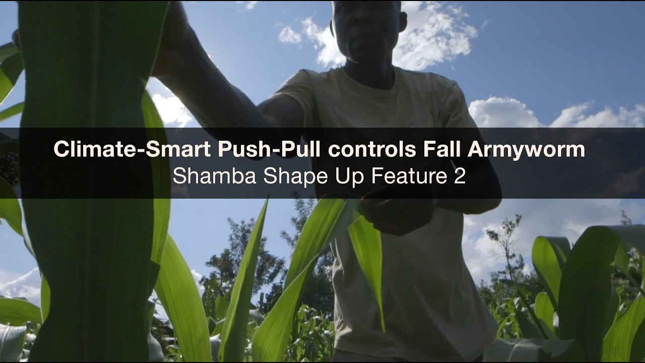 ICIPE Feature 2 - YouTube