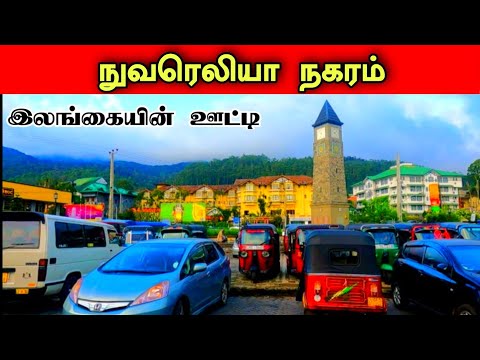 கடுமையான குளிரில் நுவரெலியா நகரம் ❄️🥶👌 Nuwara Eliya Town 😍