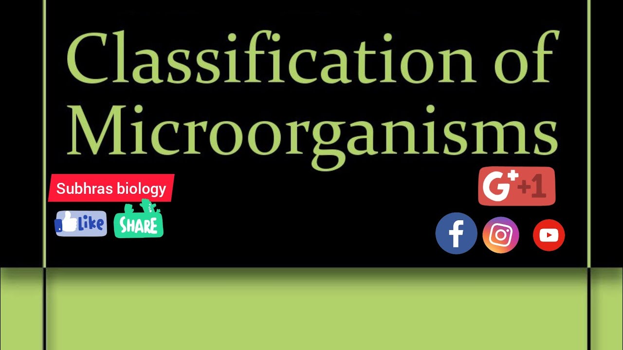 Classification of microorganisms - YouTube