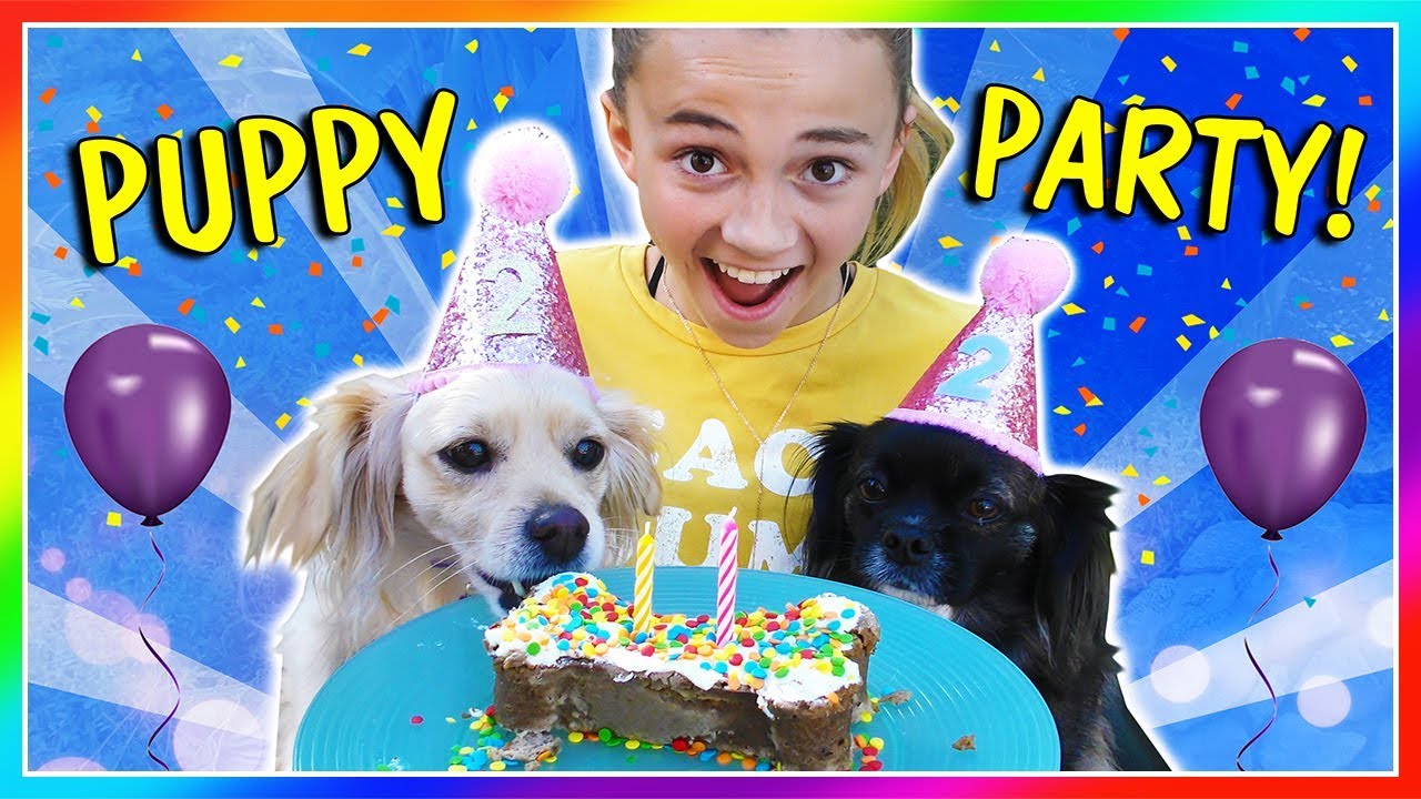 KAYLA THROWS A PUPPY PARTY | We Are The Davises - YouTube
