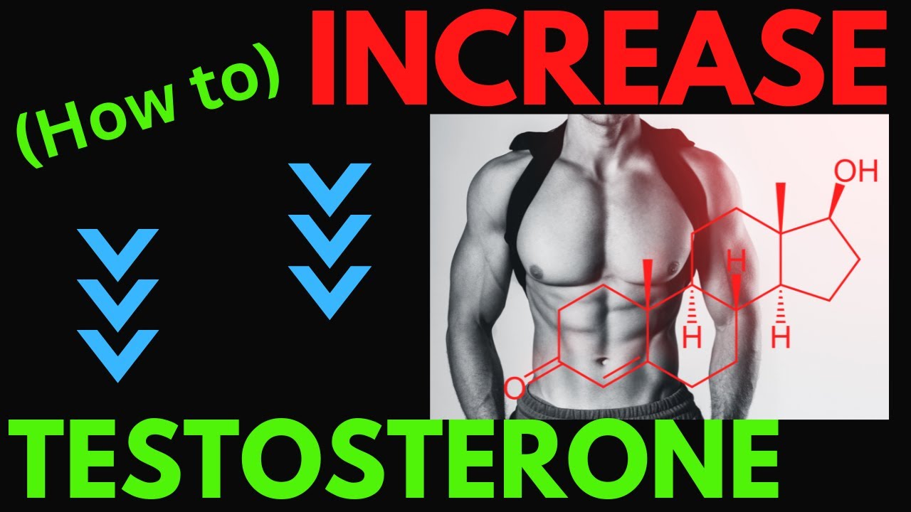 How to naturally increase TESTOSTERONE (SO EASY) | Boost testosterone ...