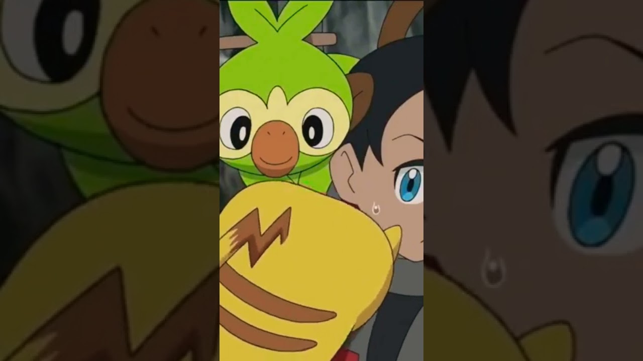 Pikachu uses pokeballs #pokemon #pikachu #lucario #grookey - YouTube