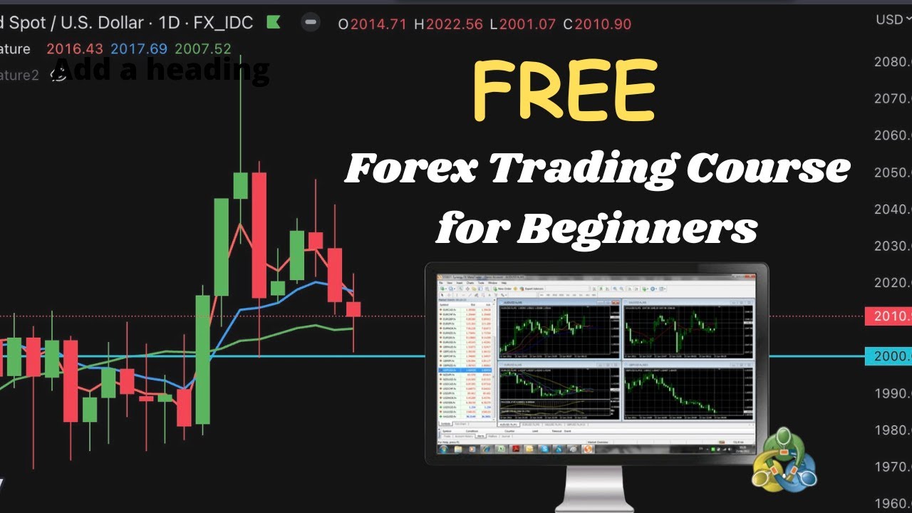 FREE Step by Step Guide to Trading Forex - YouTube