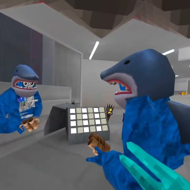 I met a new Sharks friend - YouTube