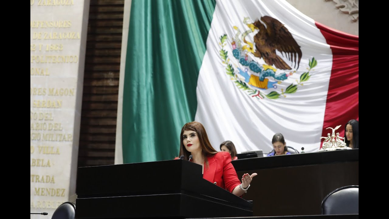 Dip. María del Refugio Camarena Jáuregui (PRI) / Posicionamiento - YouTube