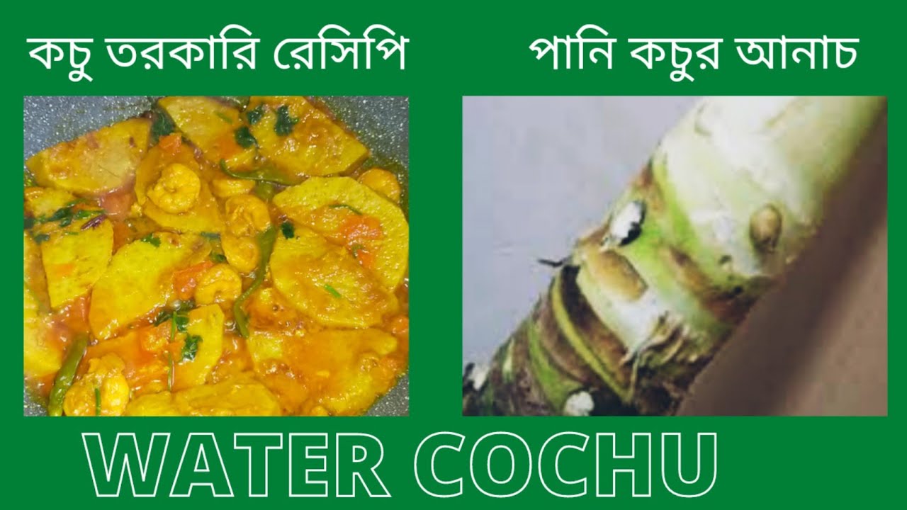 How to make kochur recipe, kochur recipe, পানি কচুর তরকারি রেসিপি। কচুর ...