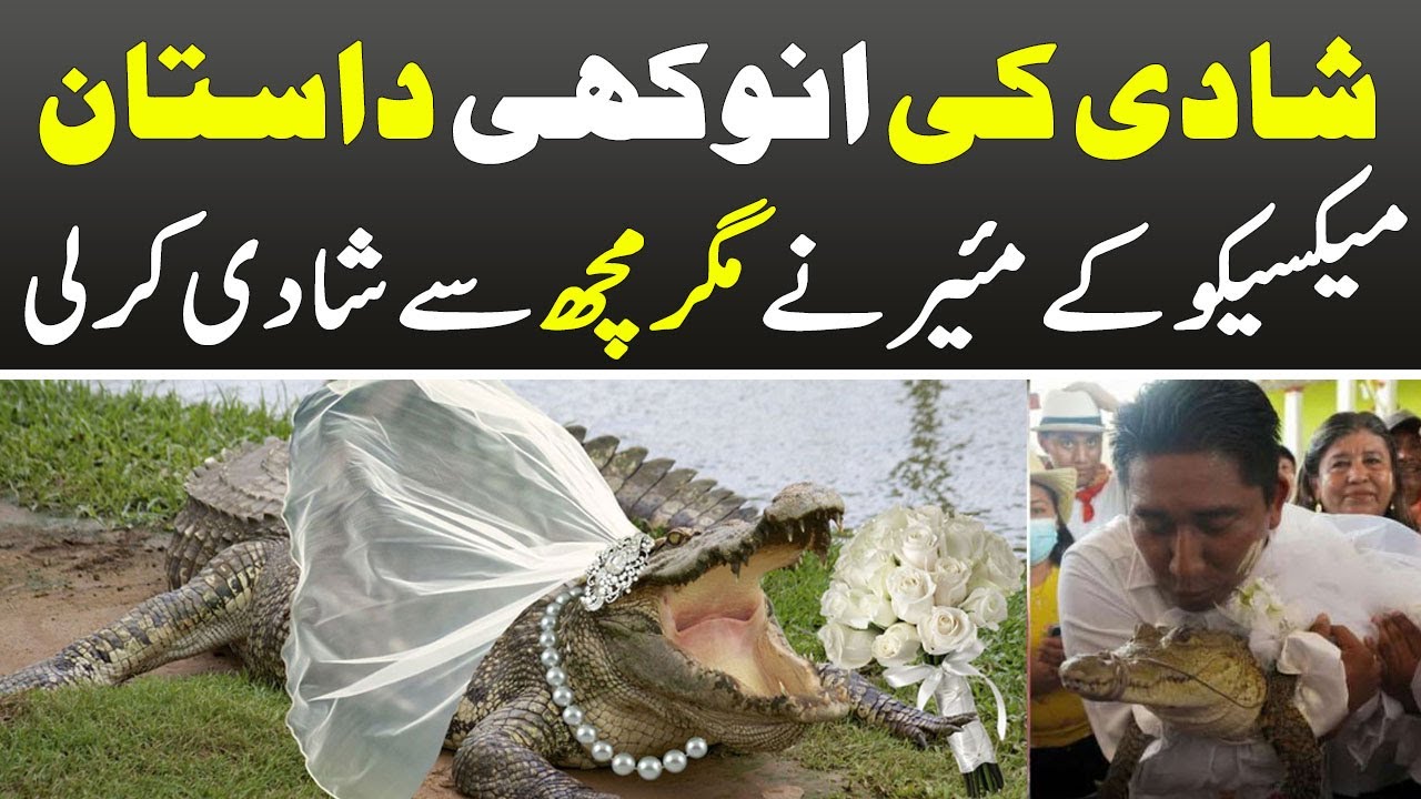 Mexican Mayor Kisses and Marries Alligator Bride | Weird Marriage in ...