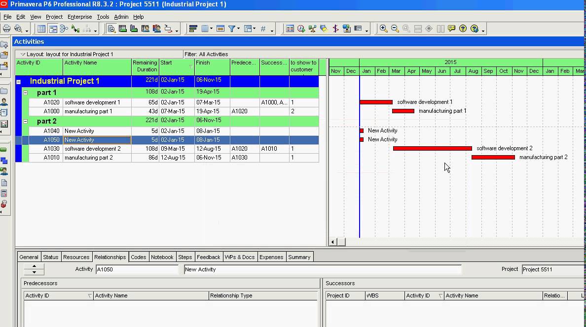 Primavera P6 identify open ended activities - YouTube