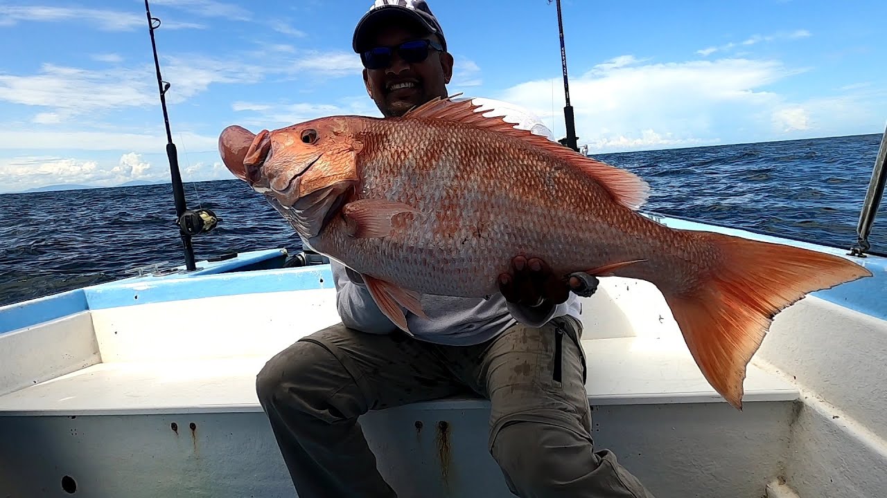 25 MILES OFFSHORE DEEP SEA HANDLINE FISHING AT THE RIGS, TRINIDAD ...