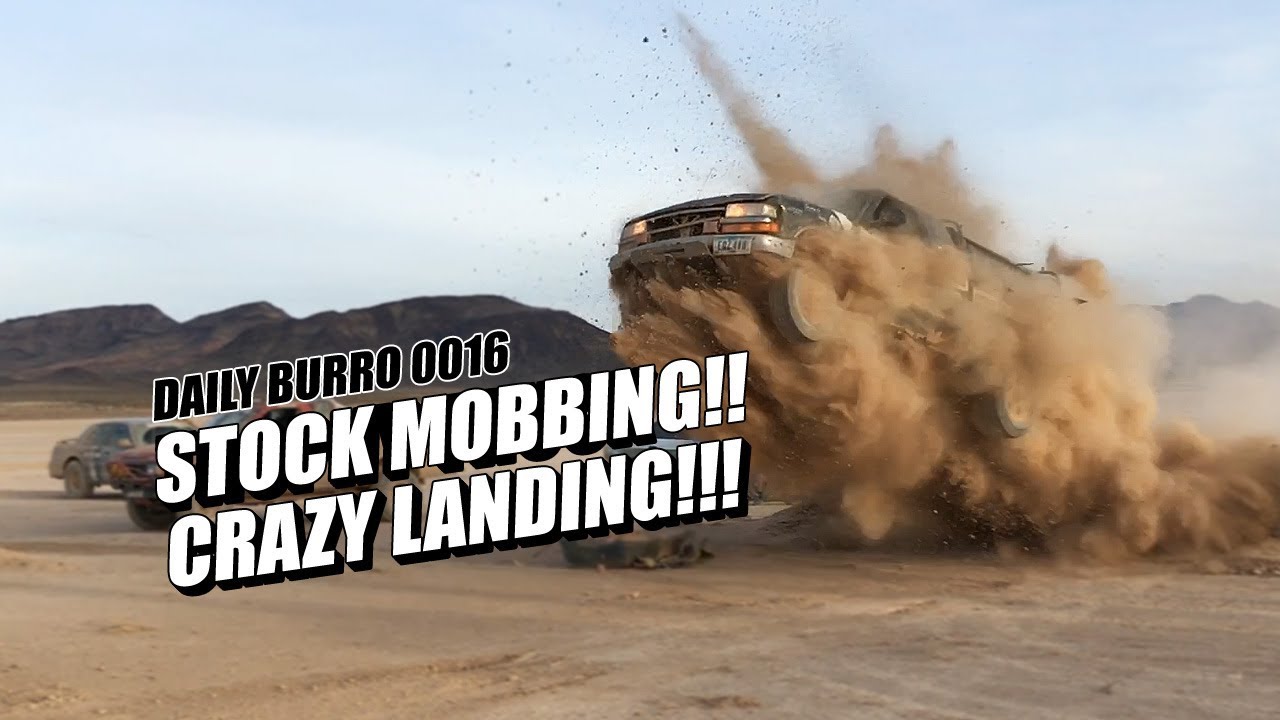 Stock Mobbing Crazy Landing! Daily Burro 0016 - YouTube