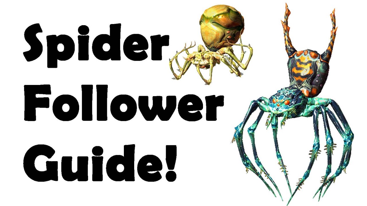 Skyrim: Secret SPIDER Follower (How to make) Spider Scroll Recipes ...