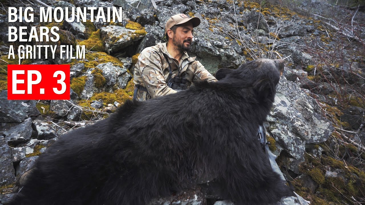 BIG MOUNTAIN BEARS | EP. 3 | 🎬 GRITTY 4K FILM - YouTube