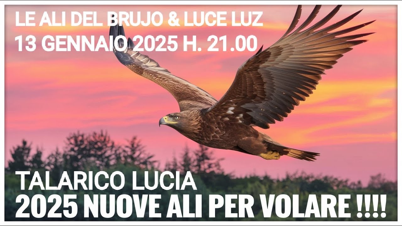 2025:NUOVE ALI PER VOLARE !!! - YouTube