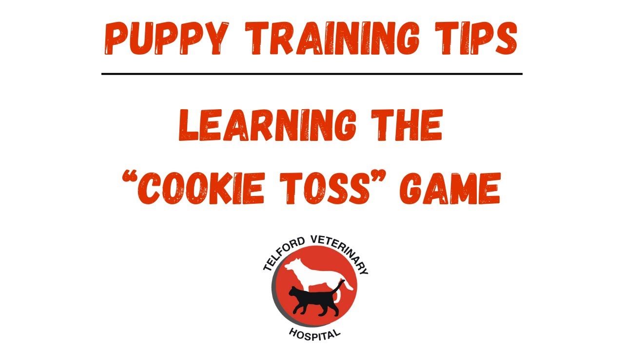 LEARNING THE "COOKIE TOSS" GAME - YouTube