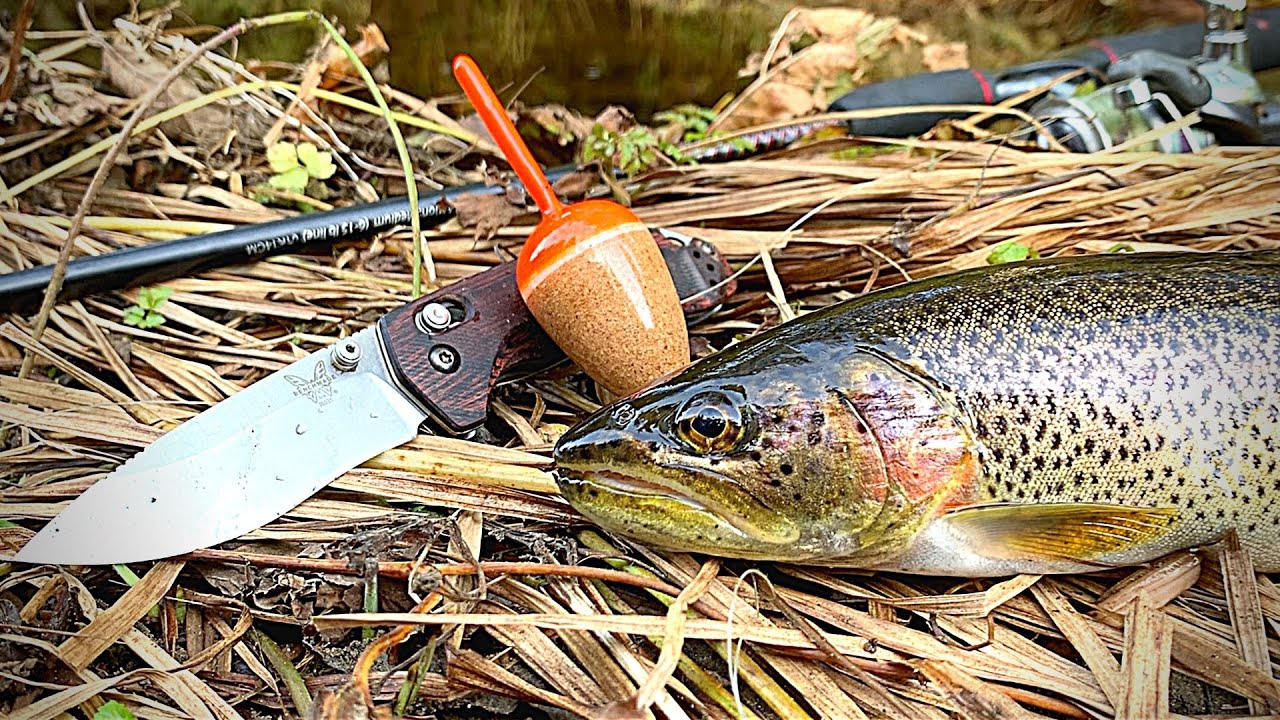 Cutthroat Trout Catch & Cook | 4K | Washington - YouTube