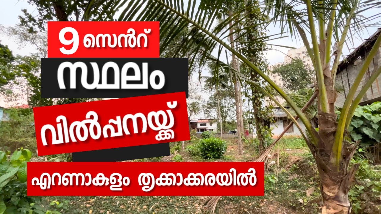 LAND FOR SALE ERNAKULAM|ALL PURPOSE LAND IN ERNAKULAM| joy Jacob ekm 29 ...