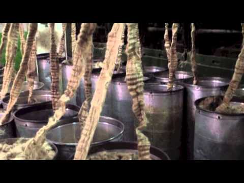 How an eco-friendly plant becomes a jute bag (part 1) - YouTube