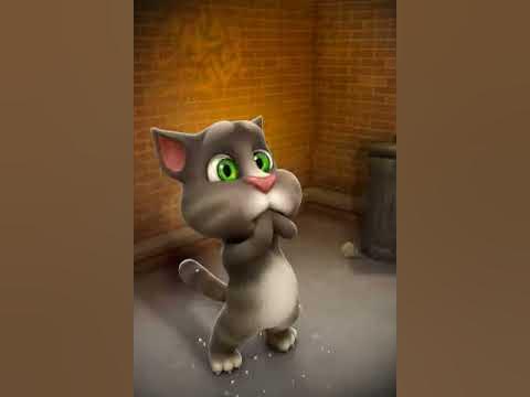 Hape bosta tom - YouTube