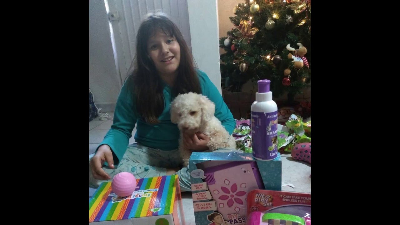 Fotos de nuestro perrito peluchin🤗🐶 - YouTube