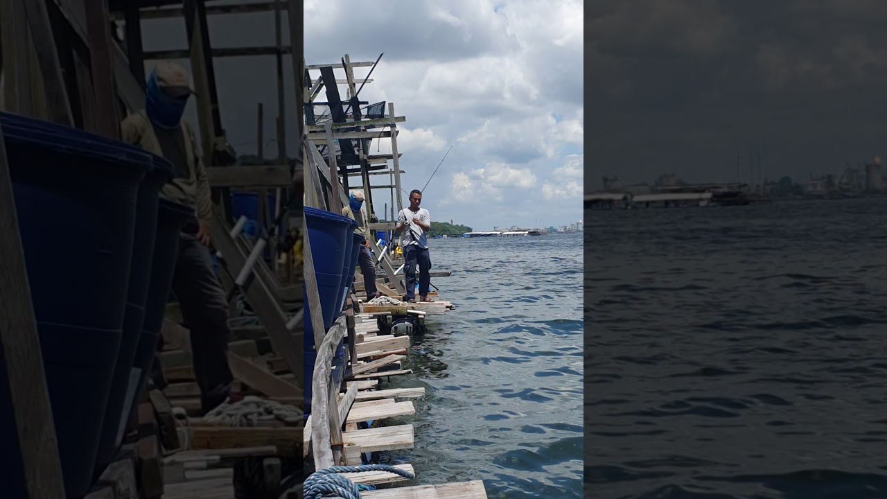 Singapore Kelong Fishing - YouTube