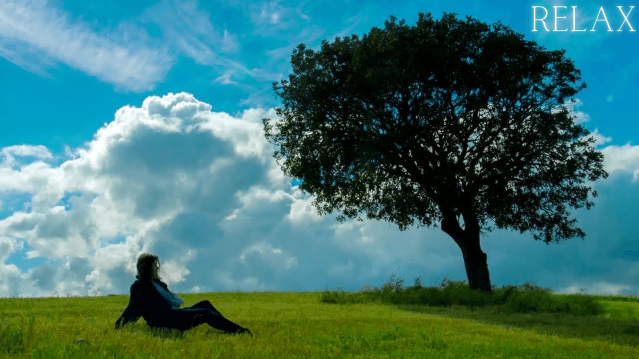 Relaxing music | Calming Music for Relaxation | Build your focus ...