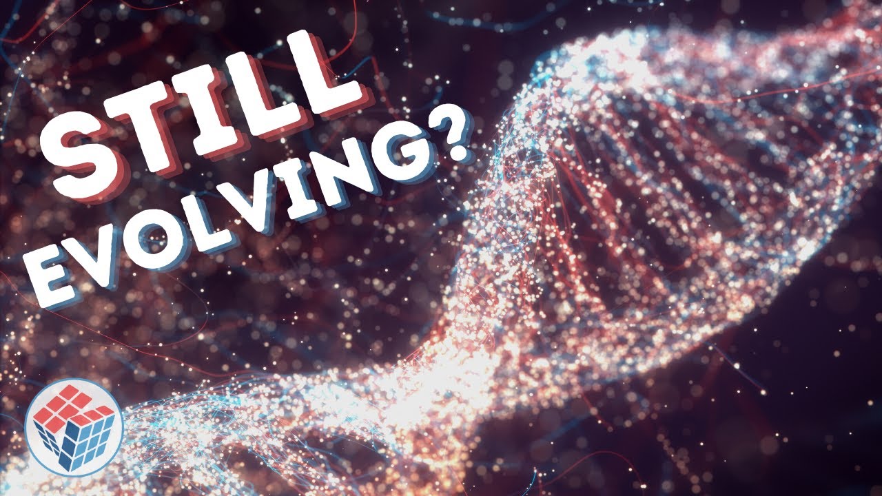 Are Humans Still Evolving? (Spiritual Answer!) - YouTube