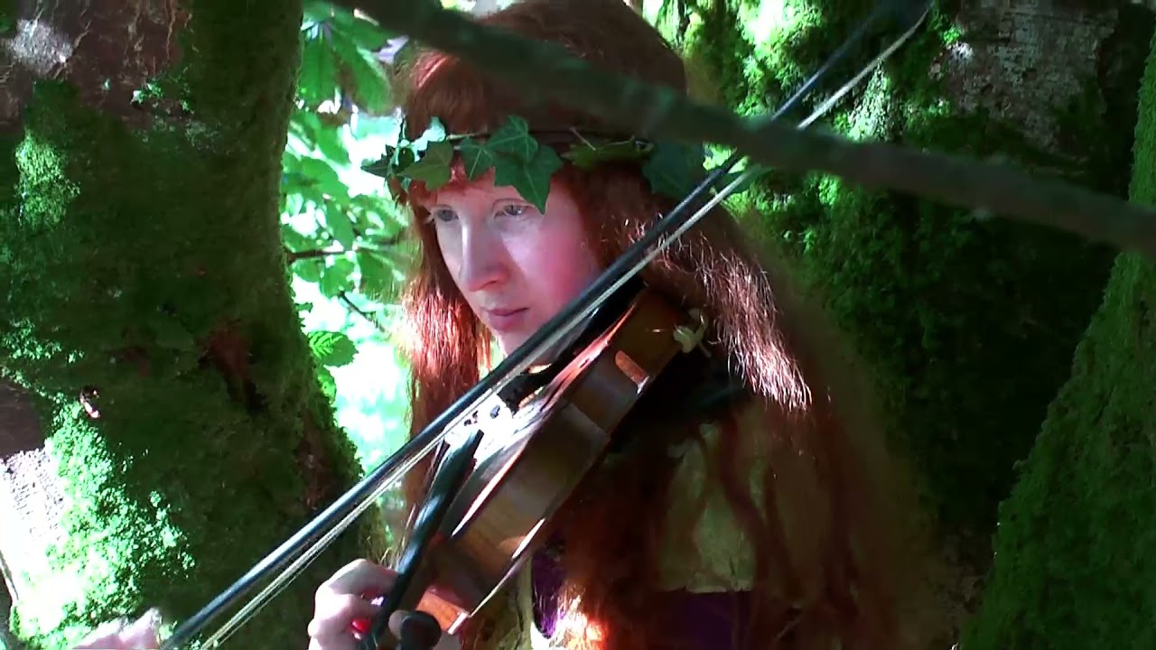 "Sióg Na Foraoise - The Fairy of the Forest" with Fiona Gavin - YouTube