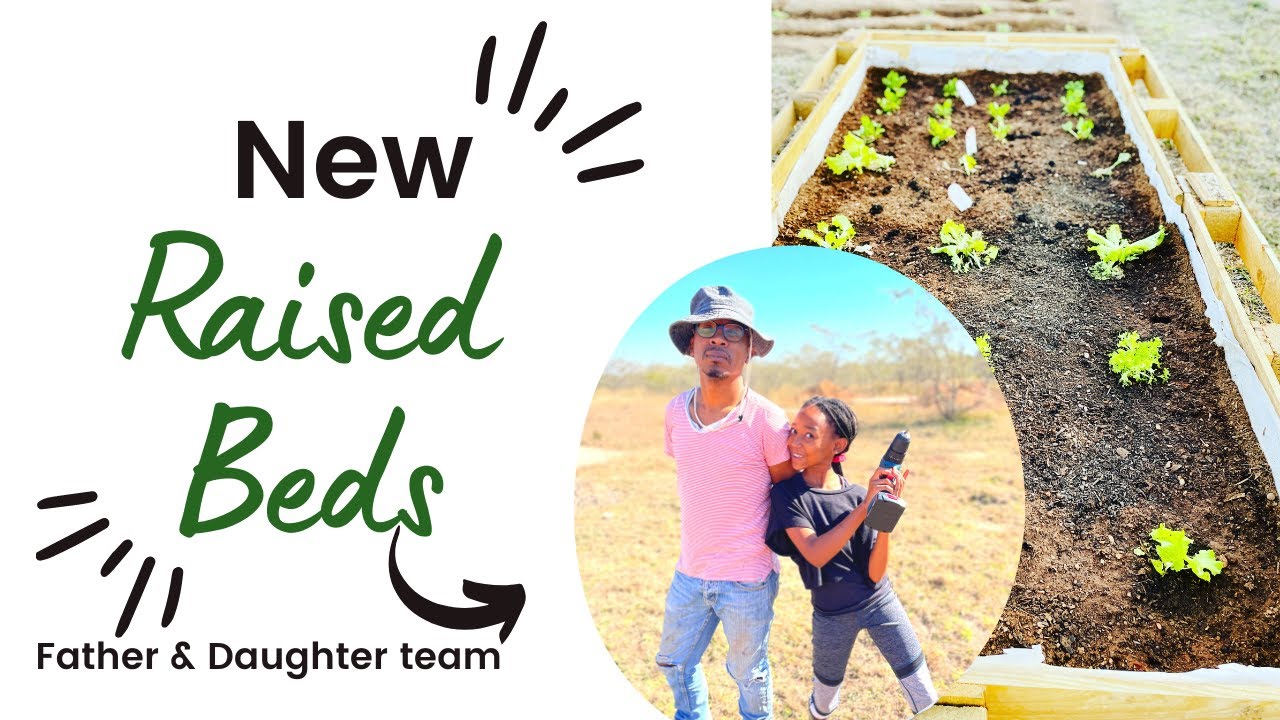 NEW RAISED BEDS - COUNTRY LIVING IN SOUTH AFRICA - YouTube