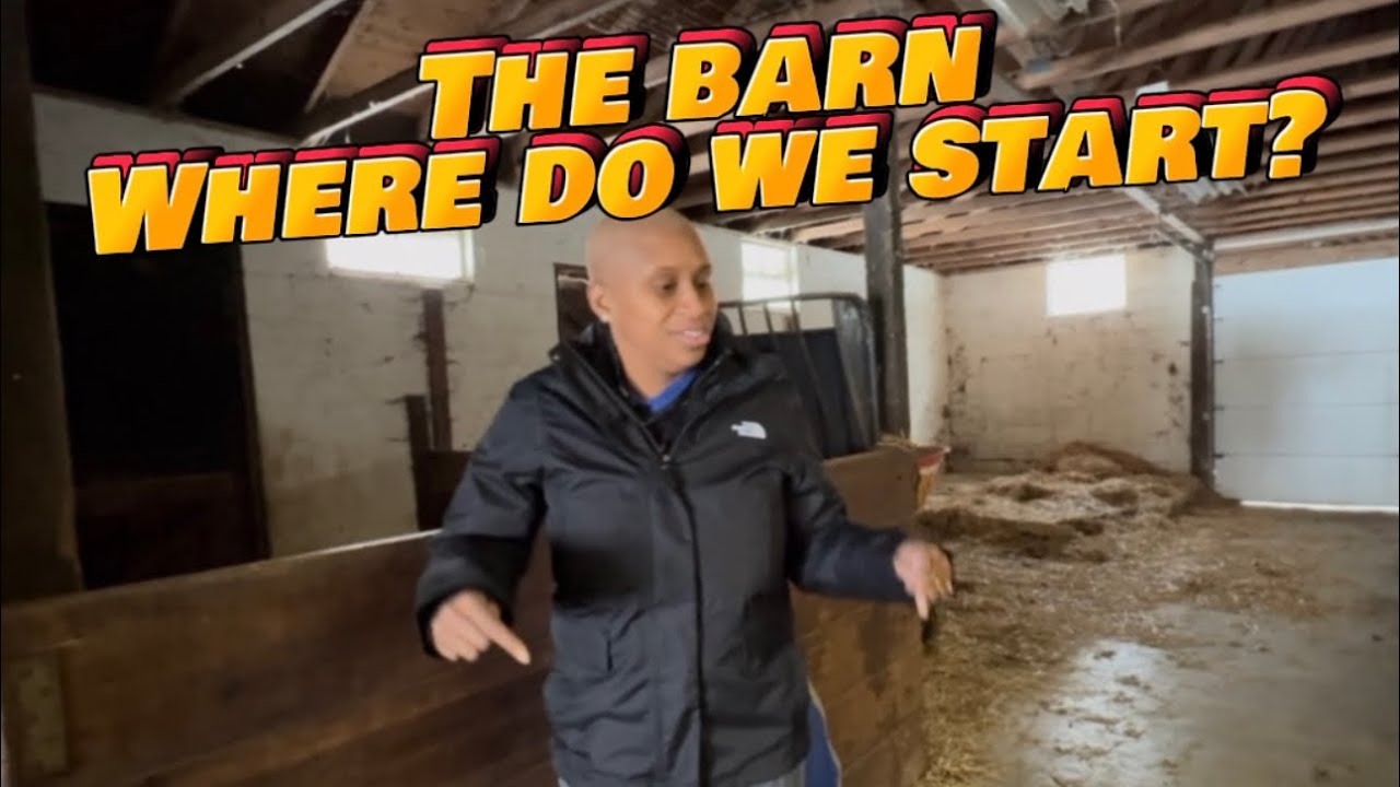 Time to clean up the barn! Where do we start? - YouTube