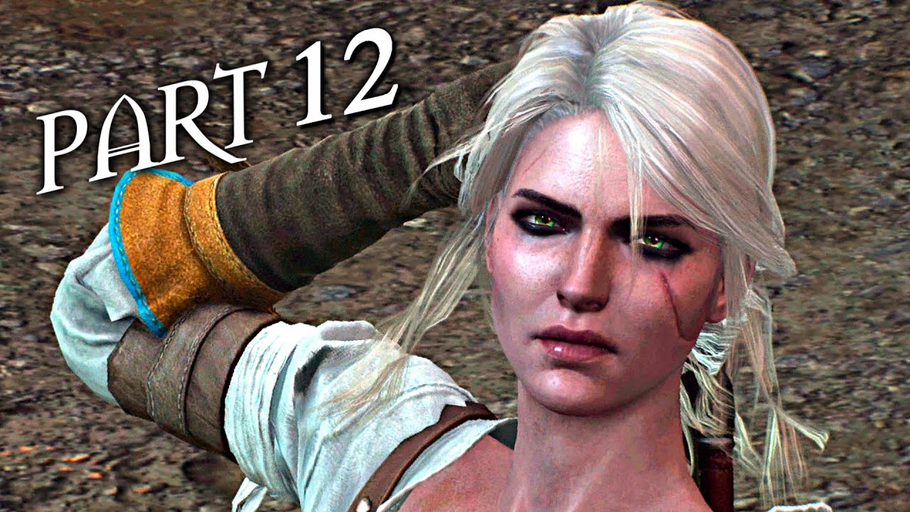 The Witcher 3 Wild Hunt Walkthrough Gameplay Part 12 - Investigation ...