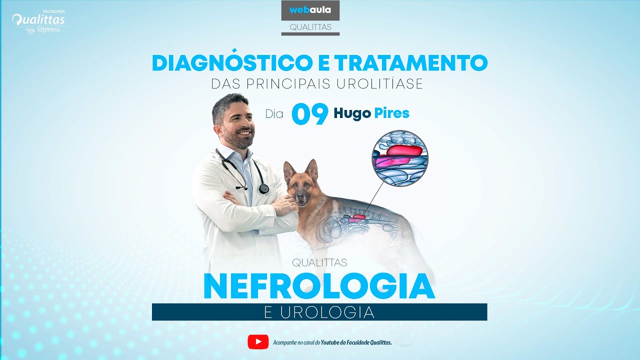 Urolitíases - Como se formam e como preveni-las? - YouTube