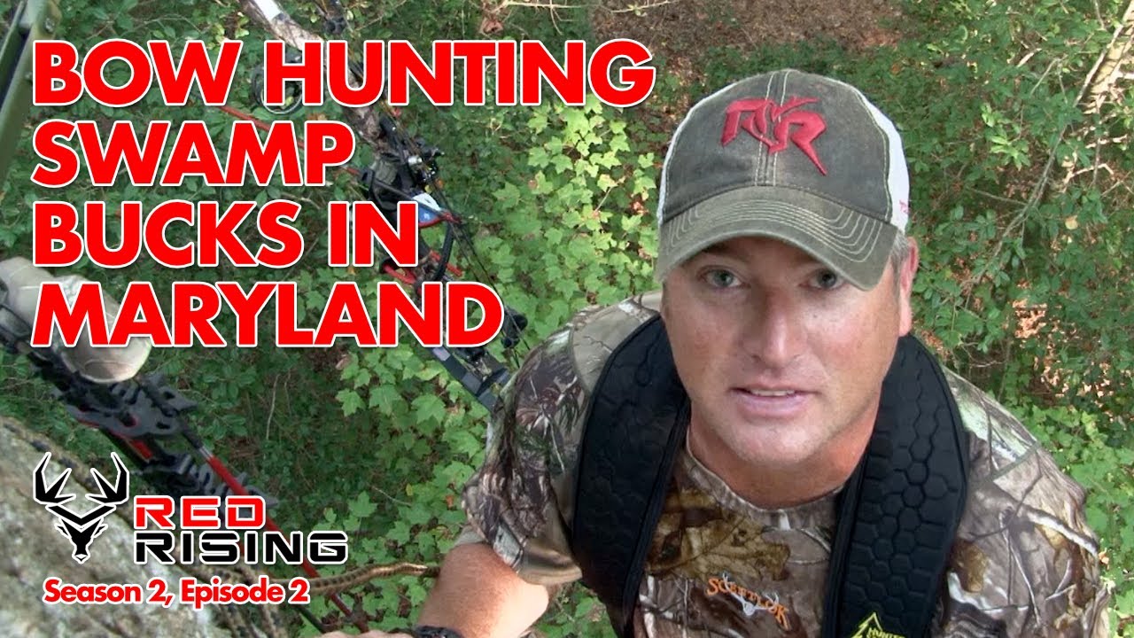 Chasing big swamp bucks on the Eastern Shore of MD - YouTube