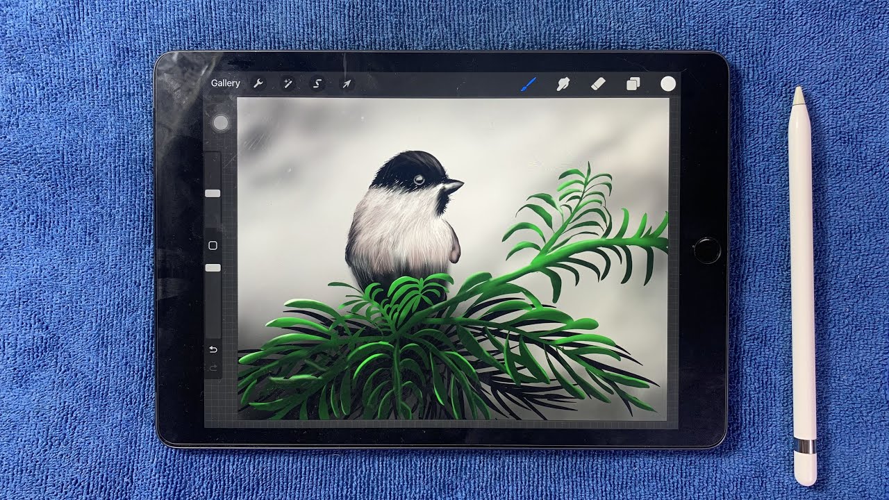 Beautiful Bird digital painting | Ipad drawing tutorial | Bird Painting ...