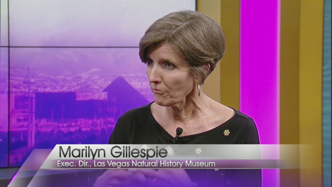 Marilyn Gillespie chats Jurassic Park in Vegas on Valley View Live ...