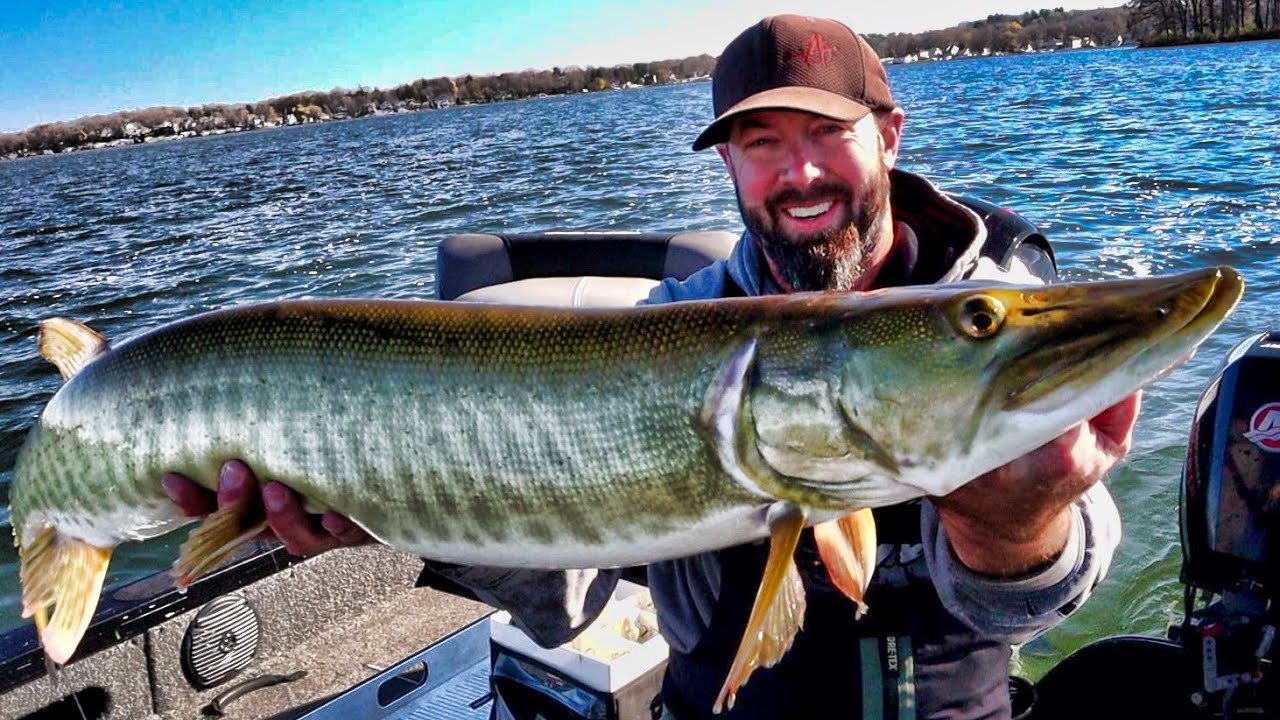 MUSKY FISHING SOUTHERN WISCONSIN!! - Late Fall Muskies on Glide Baits ...