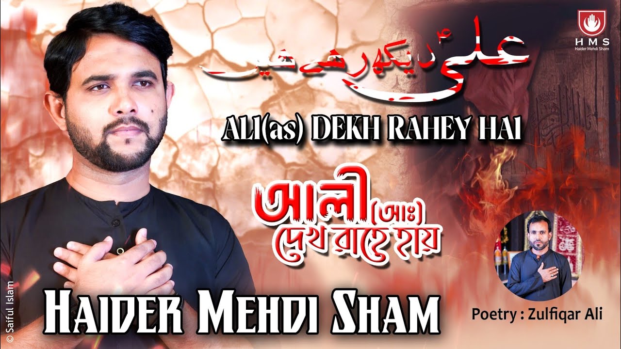 Ali(as) Dekh Rahey Hai | Ayyam E Fatema | Haider Mehdi Sham | #Noha # ...