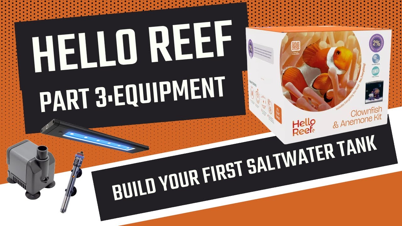 Hello Reef Saltwater Aquarium Kit : Part 3 - Equipment Install - YouTube