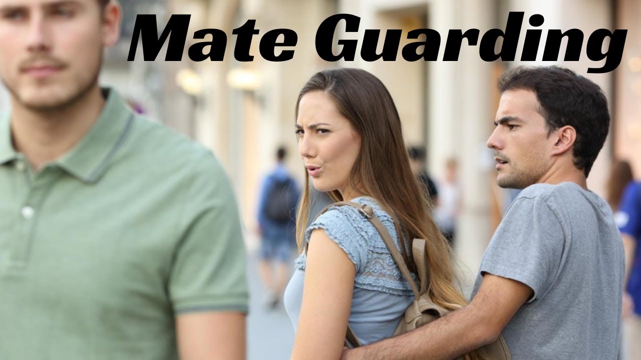 How To Handle Jealousy As a Man - Mate Guarding - YouTube