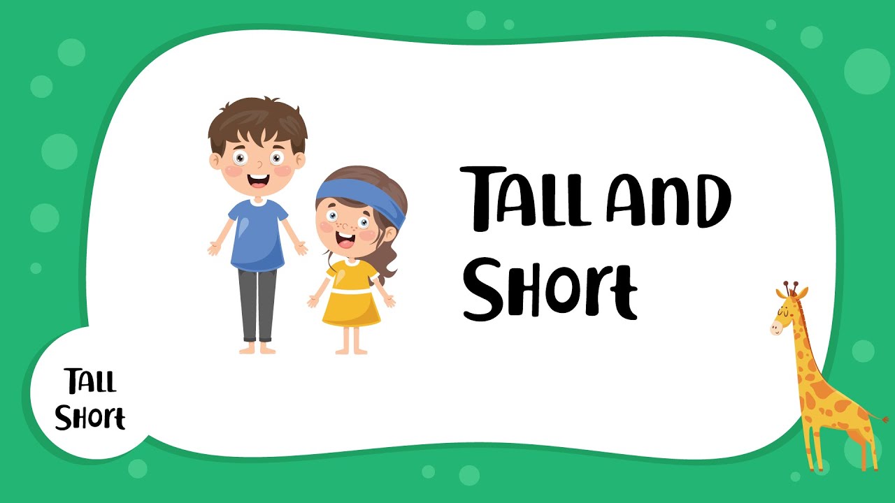Learn Tall and Short Concept in English - YouTube