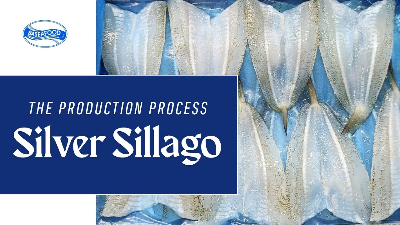 BASEAFOOD - Frozen Silver Sillago Fillet - Production Process - YouTube
